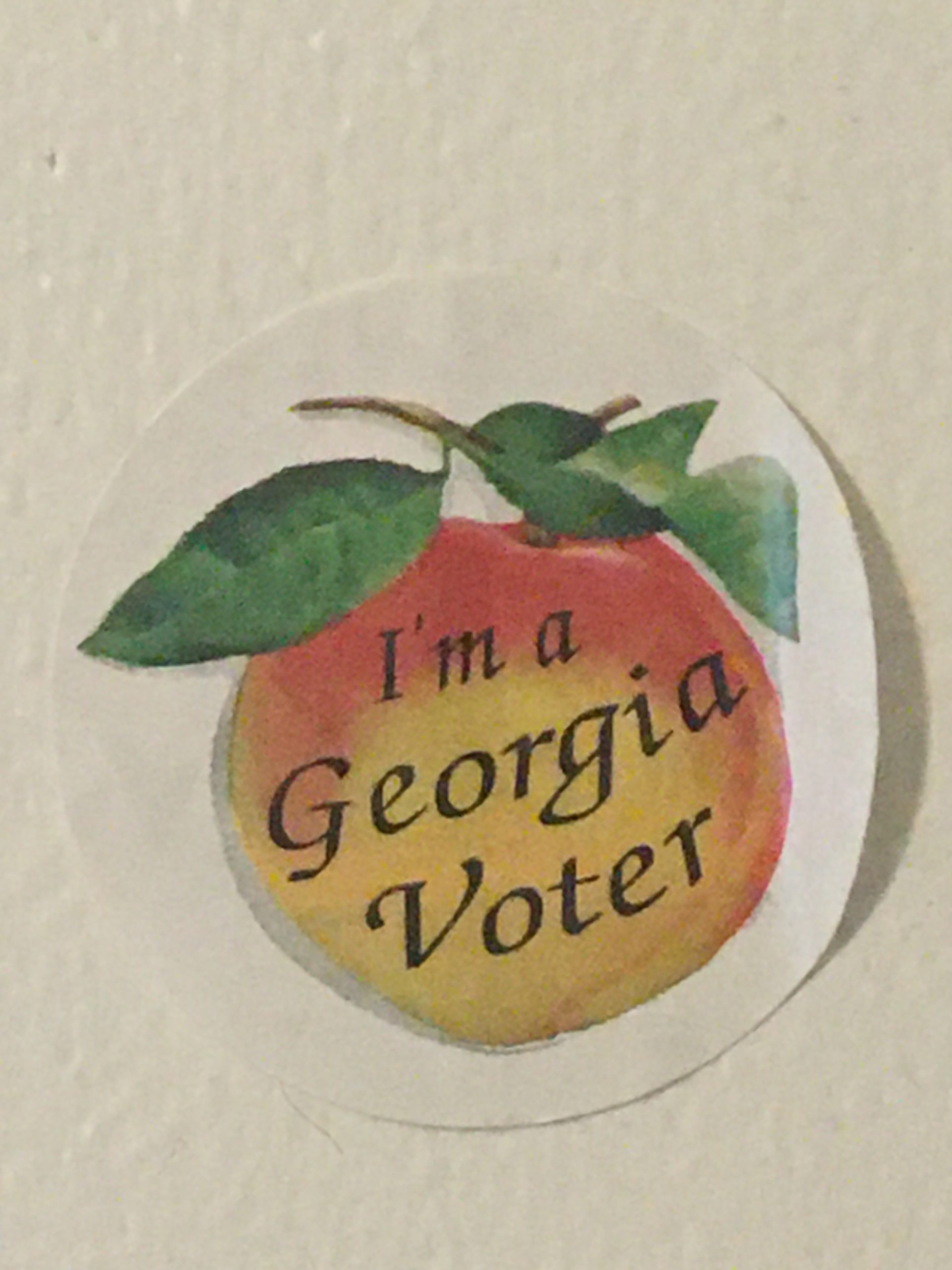 Around Coastal Georgia, Preparation Brings Drama-Free Election Day ...