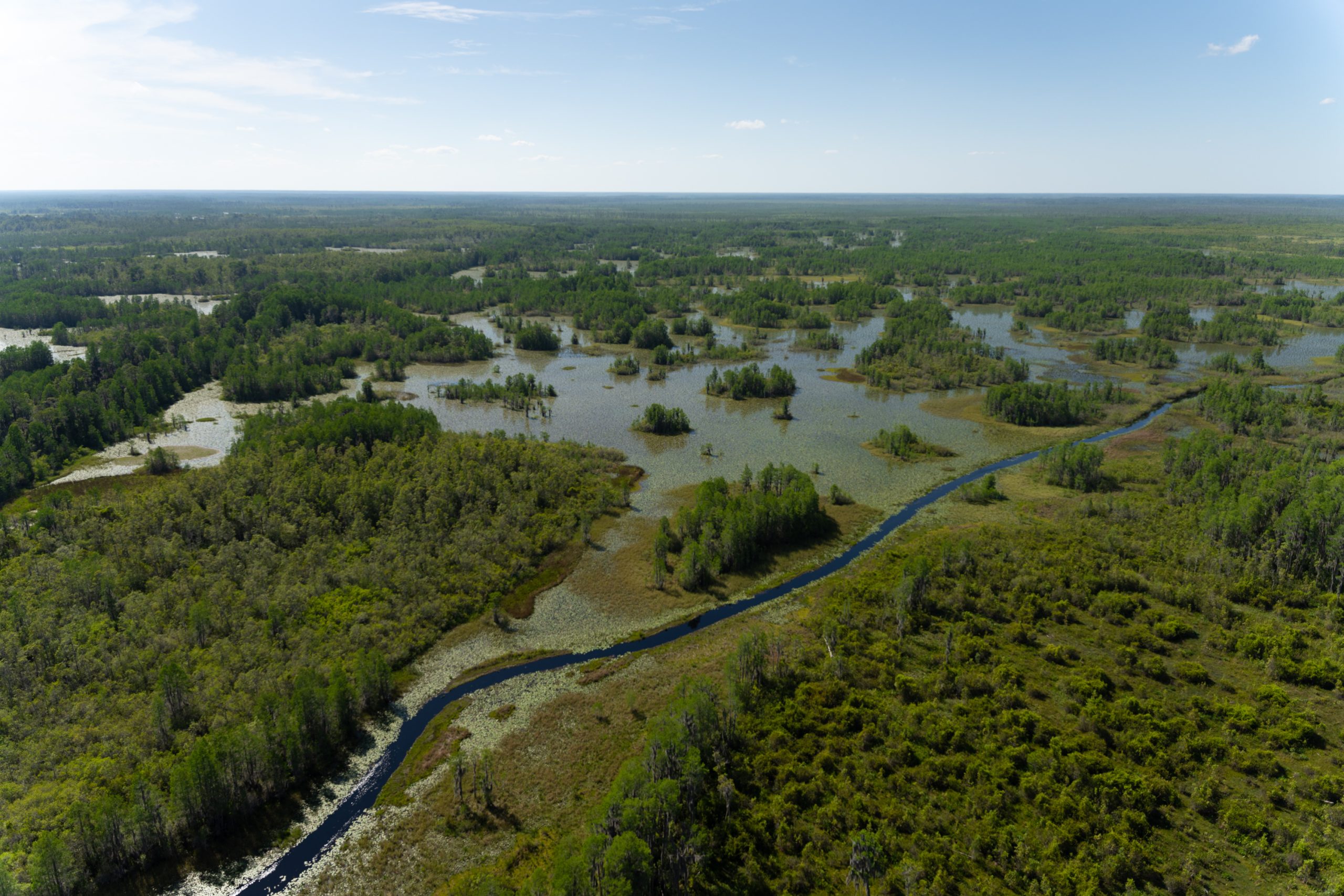Settlement leaves fate of mine at Okefenokee’s edge with Georgia EPD ...