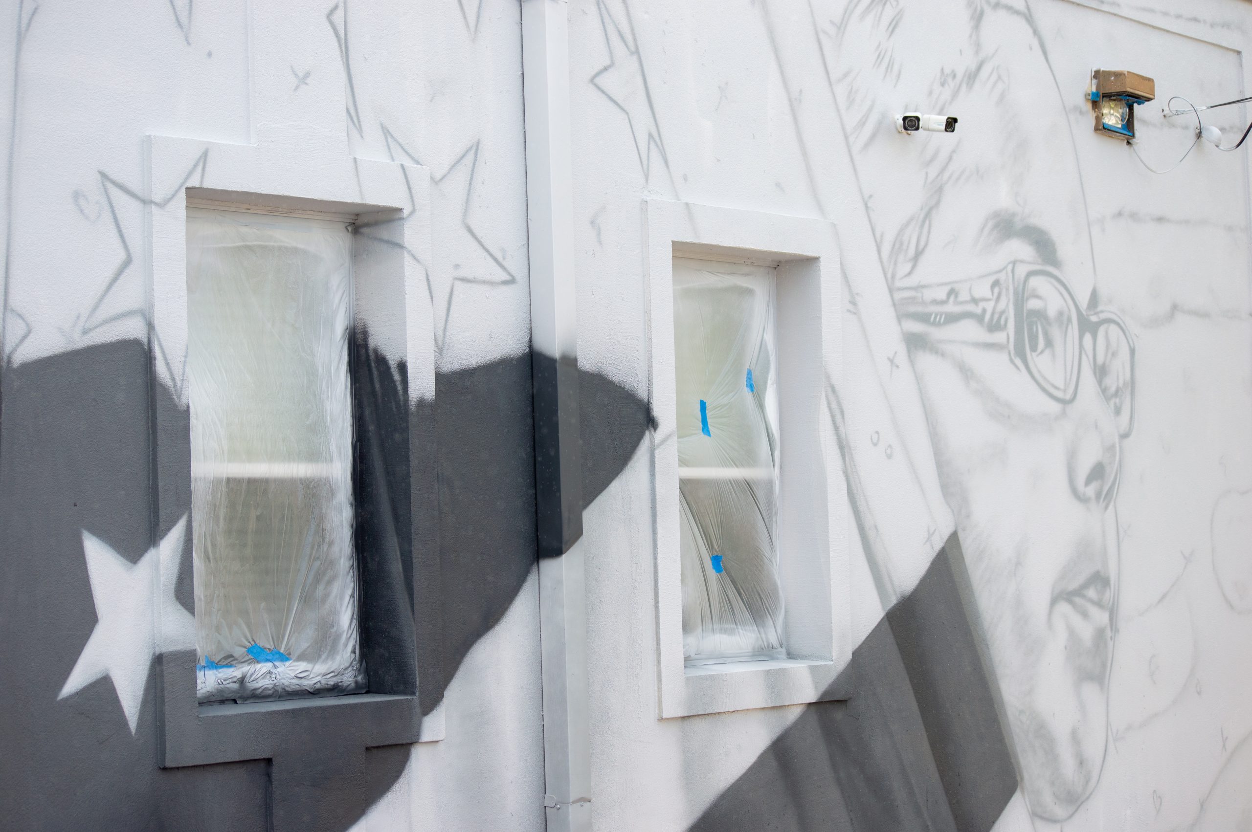 3 new murals spotlight change in Brunswick - The Current