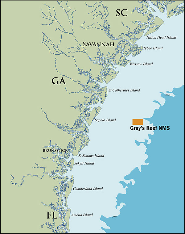 Gray's Reef comes ashore - The Current