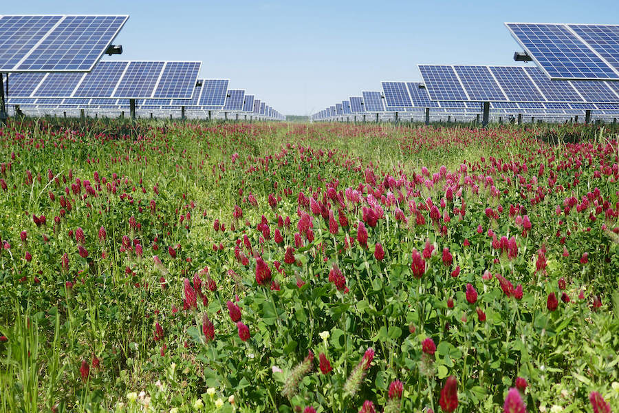 Trump is blocking solar for farmers. Can the Farm Bill fix that? - The ...