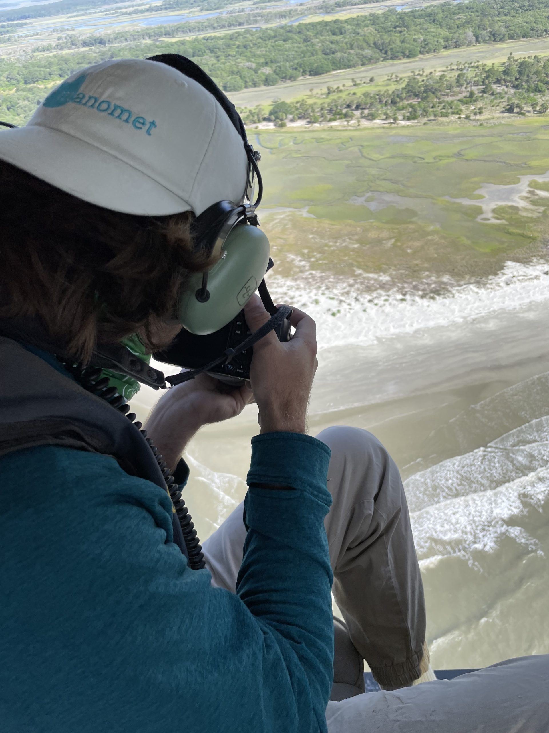 Georgia's coast provides a critical refuge for this shorebird - The Current