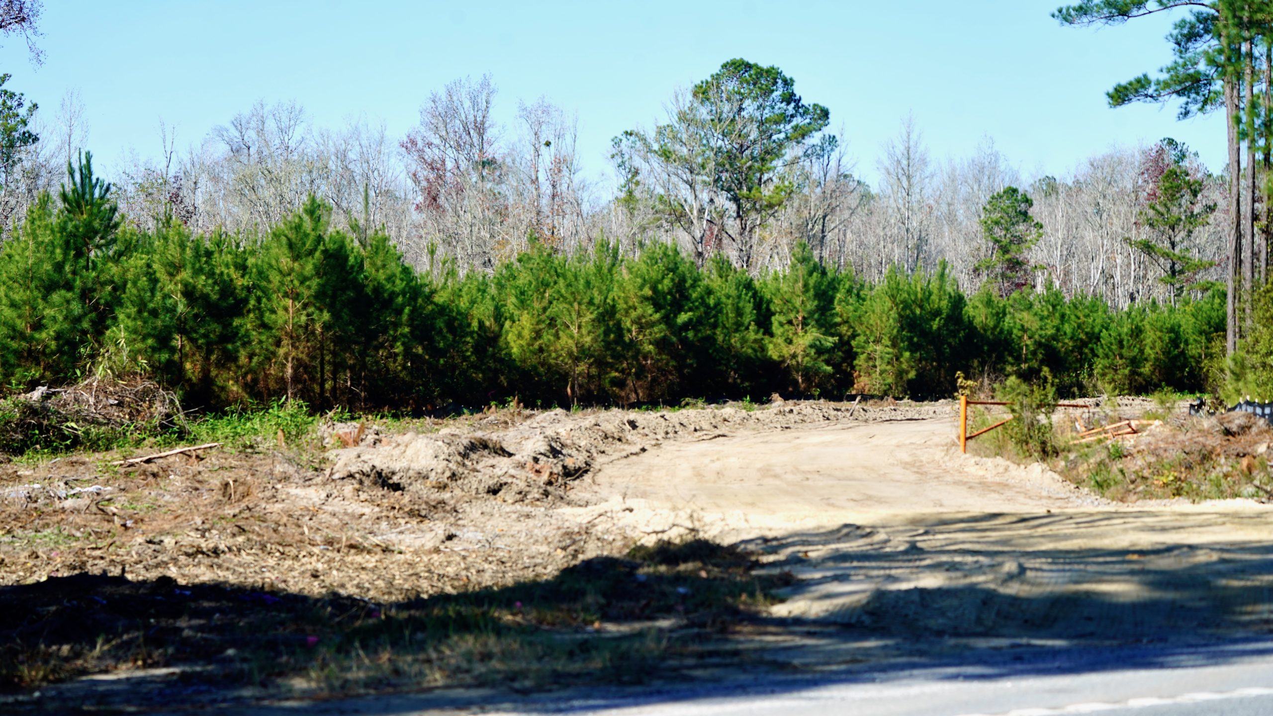 Liberty County log fumigation plant canceled - The Current