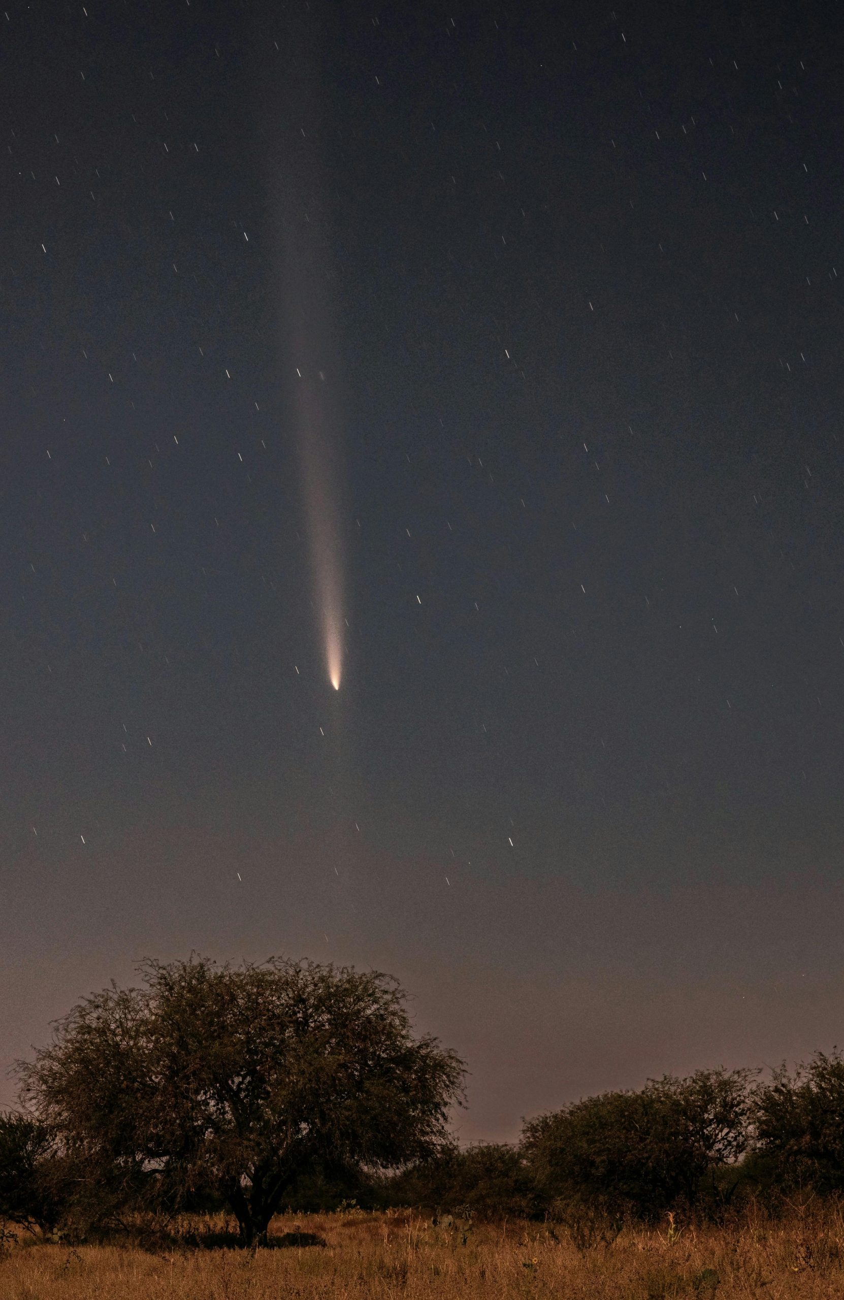 October comets visit Earth from spooky Oort Cloud - The Current
