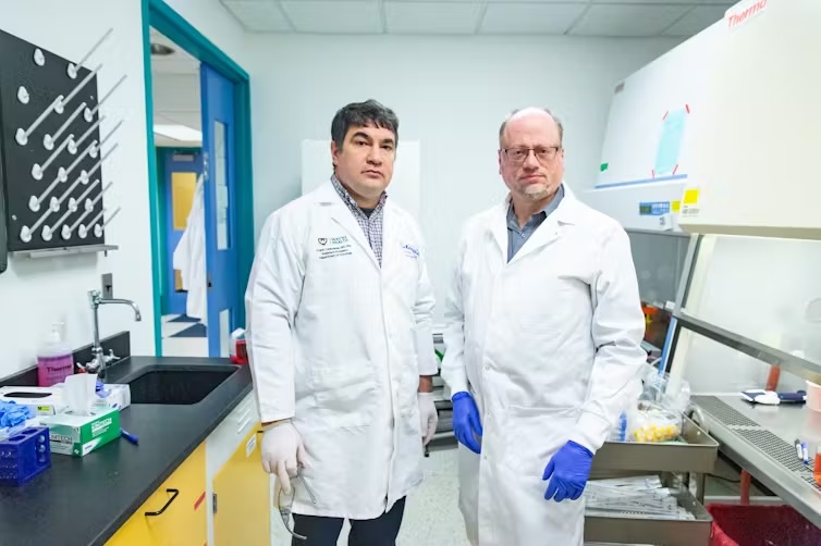 Experts: Fake papers fuel corrupt industry, slow legitimate medical ...