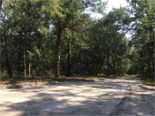 Developers poised to build housing enclave on Buddy Carter's Camden ...